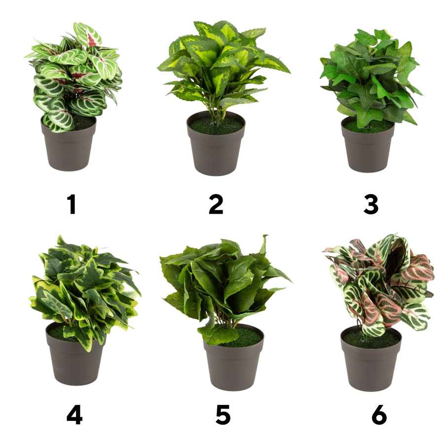 Maceta con planta en varios modelos | Casa Viva