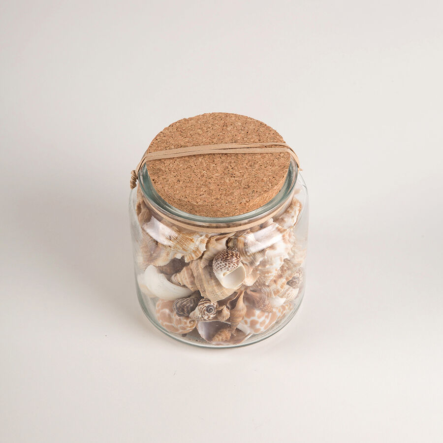 Tarro de cristal caracolas en varios modelos | Casa Viva