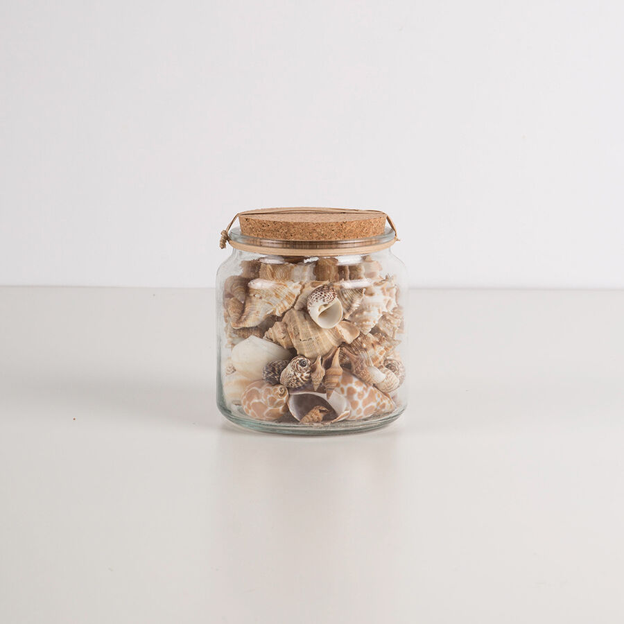 Tarro de cristal caracolas en varios modelos | Casa Viva